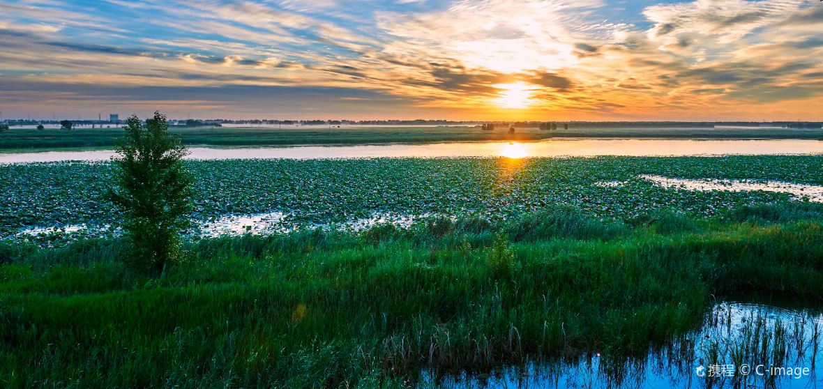 Things to do in Daqing (2025): Top nearby activities,popular ...