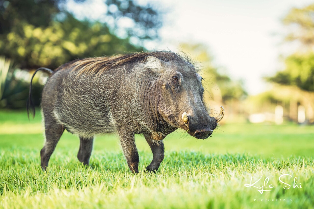 Omaheke Travel Guide 2023 - Things to Do, What To Eat & Tips | Trip.com