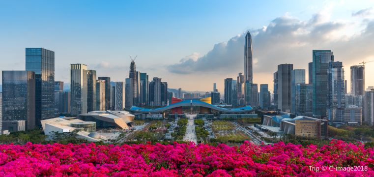 Things to Do in Futian District in 2024 - Top Attractions, Local Food ...