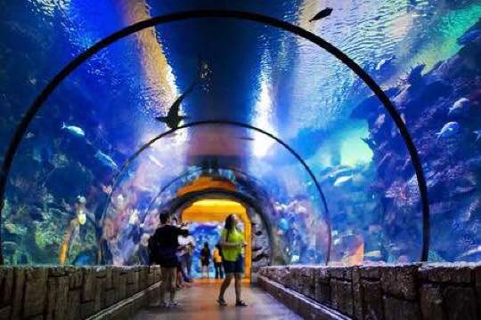Haunted Shark Reef Mandalay Bay