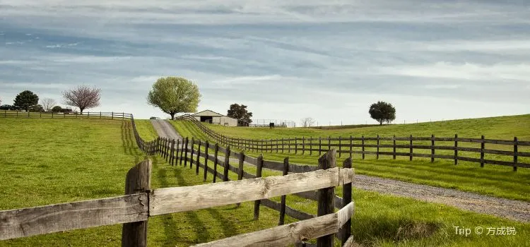 The 10 Most Exciting Cities in Virginia - Trip.com