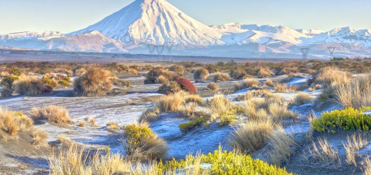 Ohakune Travel Guide 2026: Top Attractions, Things to Do & Deals | Trip ...