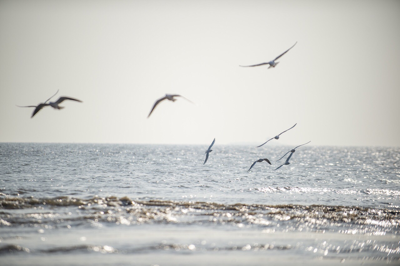 Jimo District 2023 Top Things to Do - Jimo District Travel Guides - Top ...