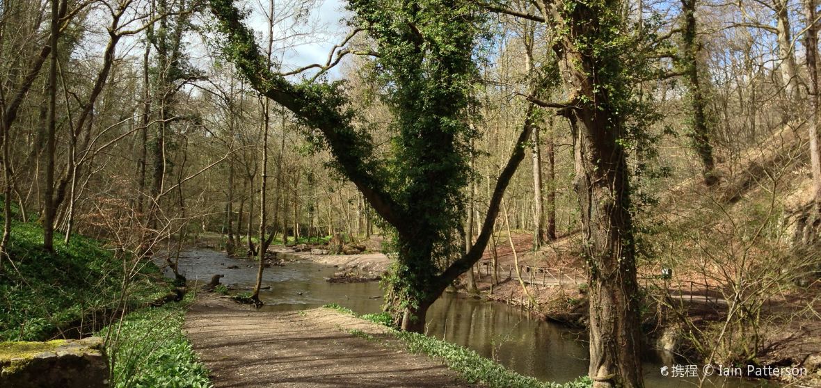 Llanferres Travel Guide 2024 - Things to Do, What To Eat & Tips | Trip.com
