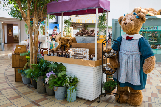 9-Day South Korea Itinerary: Busan, Jeju and Seoul travel notes and ...