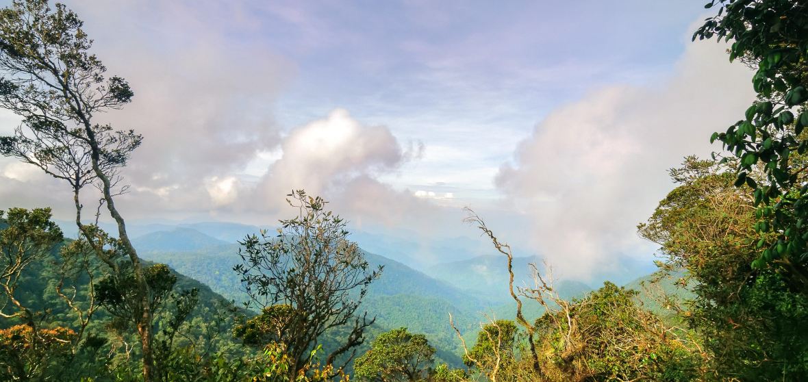 Things to Do in Ulu Telom in 2024 - Top Attractions, Local Food, Hotels ...