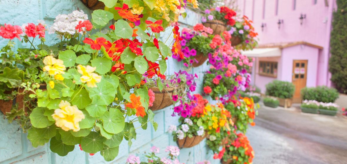 Paju-si Travel Guide 2025: Top Attractions, Things to Do & Deals | Trip ...