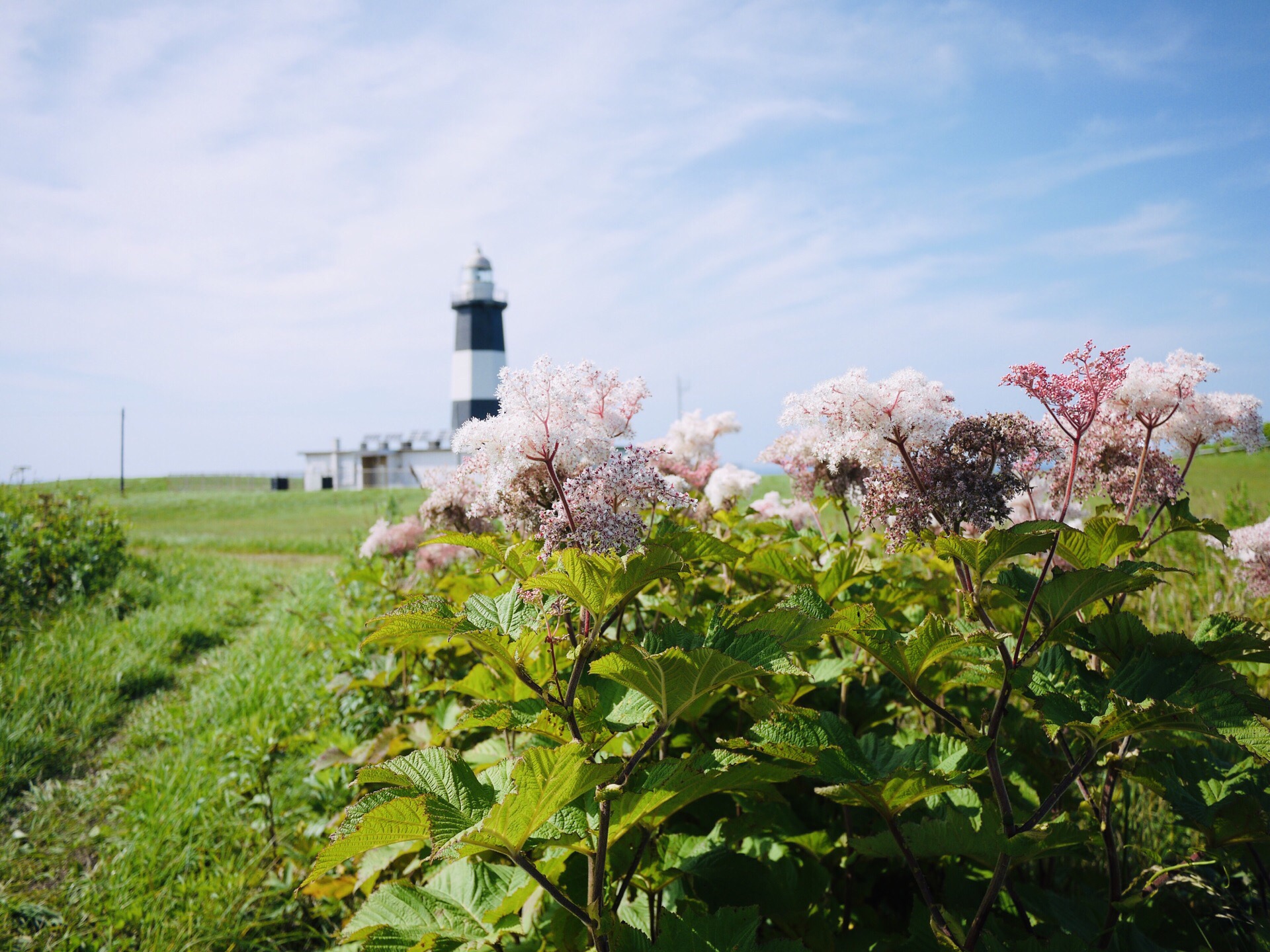 Abashiri Travel Guide 2023 - Things to Do, What To Eat & Tips | Trip.com