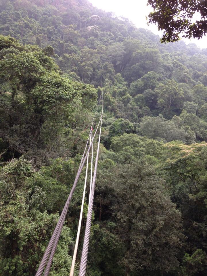 Howick Travel Guide 2023 - Things to Do, What To Eat & Tips | Trip.com