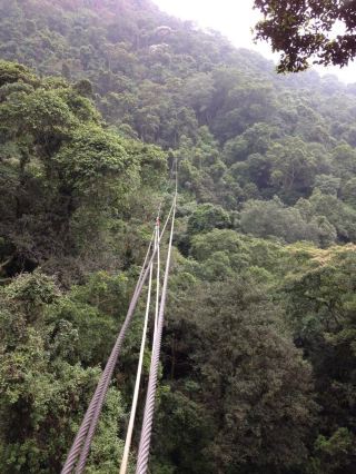 Howick Travel Guide 2023 - Things to Do, What To Eat & Tips | Trip.com