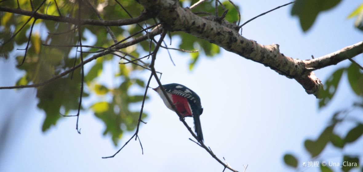 Things to Do in Moa in 2024 - Top Attractions, Local Food, Hotels ...