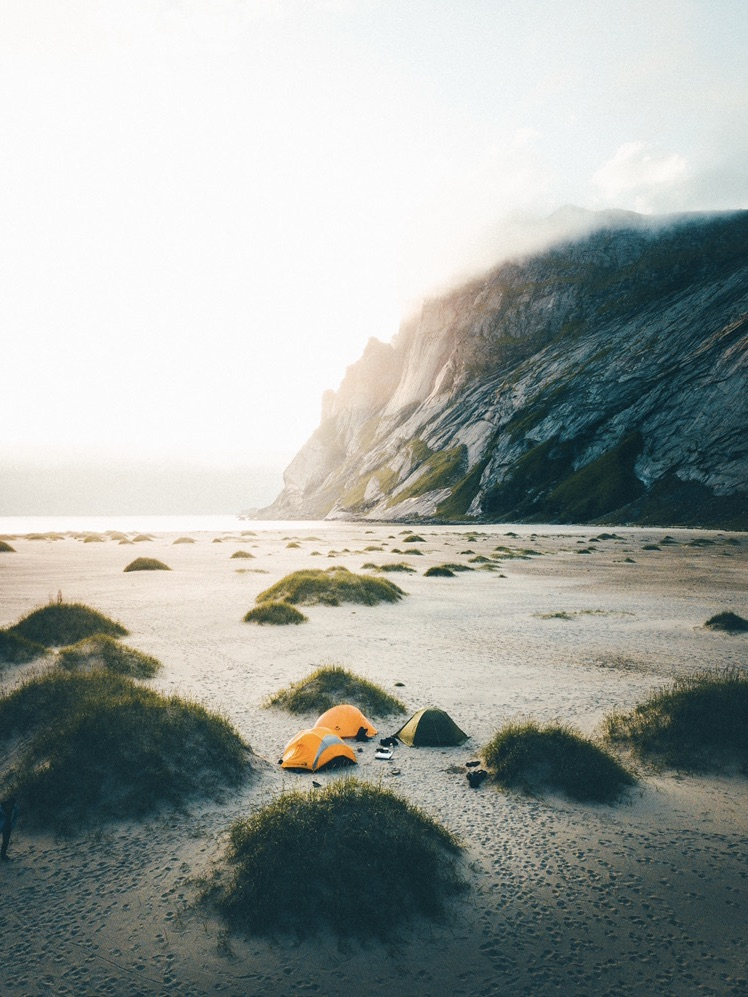 Things to Do in Moskenes in 2024 - Top Attractions, Local Food, Hotels ...