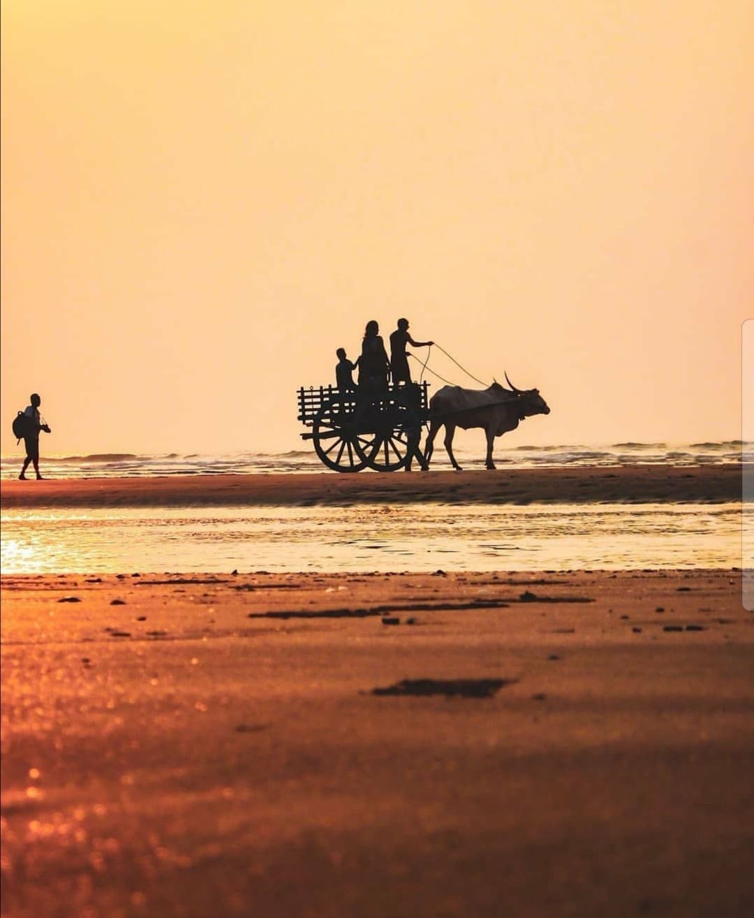 Ratnagiri 2022 Top Things to Do - Ratnagiri Travel Guides - Top ...