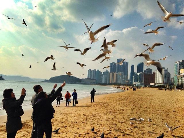 Eight Best Must-do Things for You to Enjoy in Busan travel notes and ...
