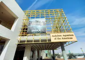 Jack Spinks-Marino Casem Stadium Tickets [2026] - Promos, Prices ...