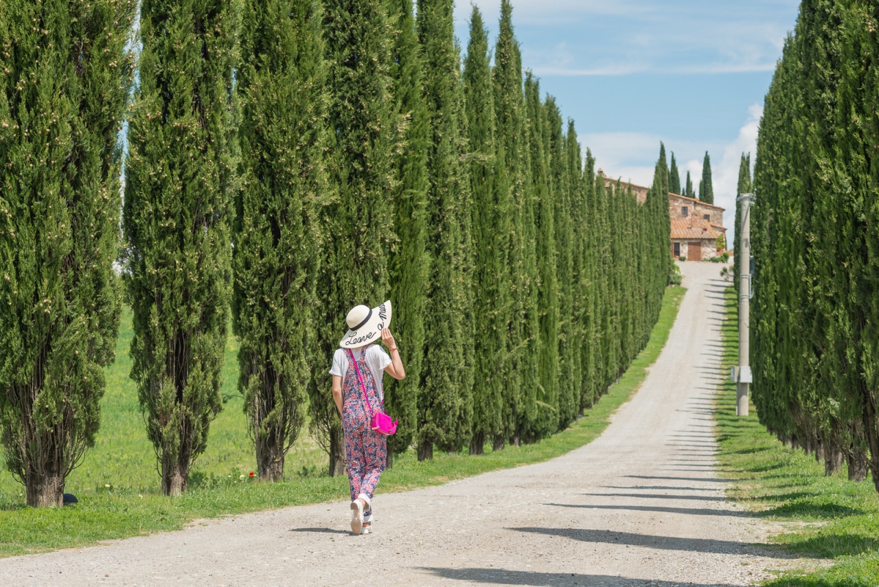 Pienza Travel Guide 2023 - Things to Do, What To Eat & Tips | Trip.com