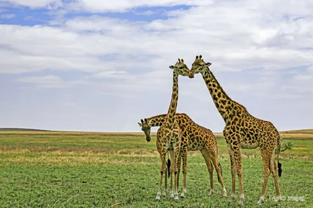 10 Breathtaking Nature Reserves Around the World - Trip.com