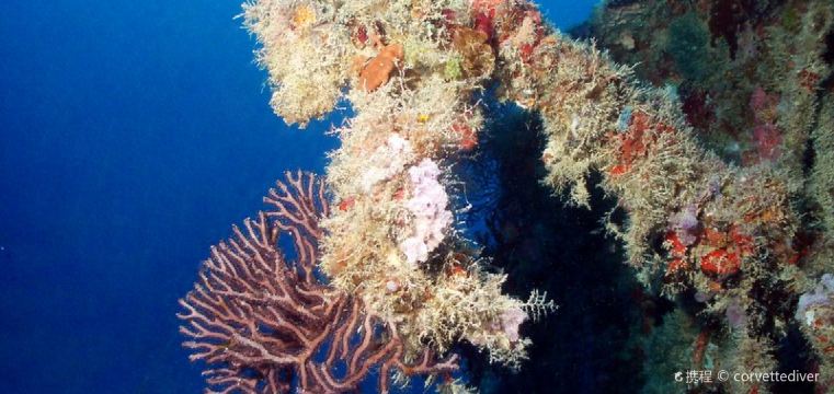 North Key Largo Travel Guide 2024 - Things to Do, What To Eat & Tips ...