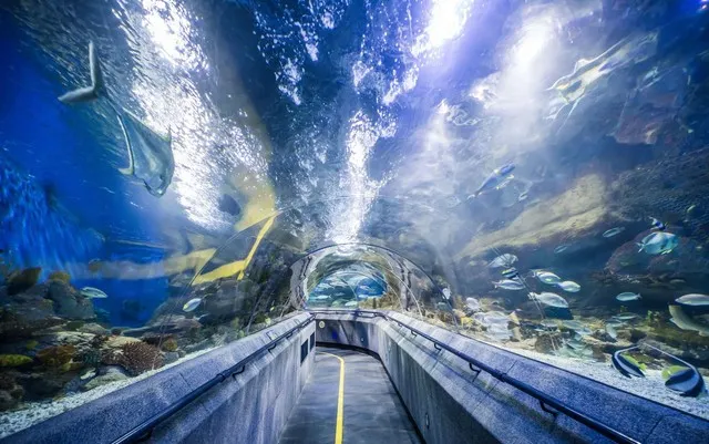 10 Must-See Sights in Dalian - Trip.com