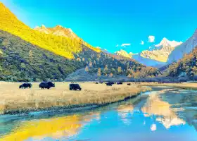 Haba Snow Mountain Paragliding Top Flight Base Tickets [2025] - Promos ...