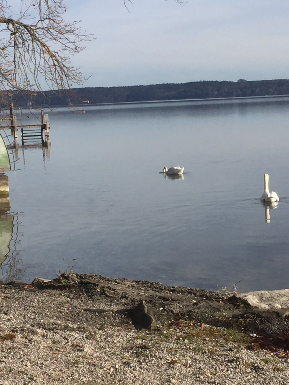 Tutzing Travel Guide 2023 - Things to Do, What To Eat & Tips | Trip.com