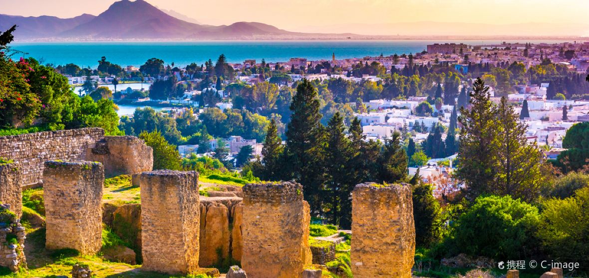 Things to do in Carthage (2025): Top nearby activities,popular ...