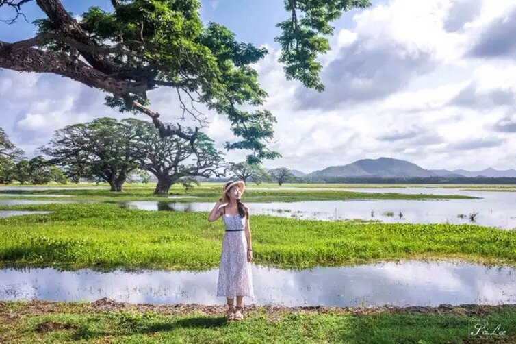 Matara Travel Guide 2023 - Things to Do, What To Eat & Tips | Trip.com