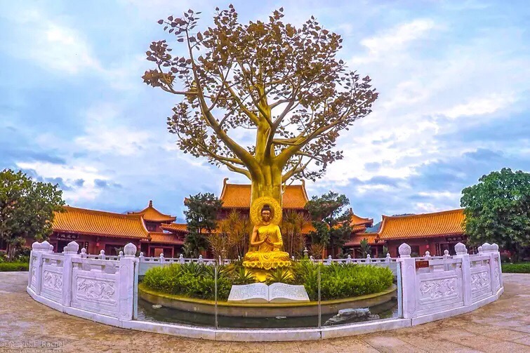 Yamato Travel Guide 2023 - Things to Do, What To Eat & Tips | Trip.com