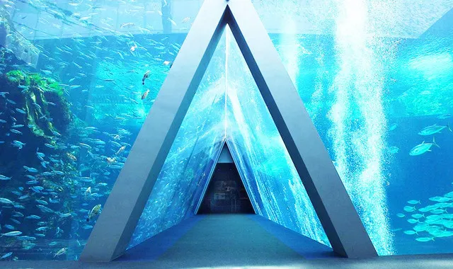 A Guide to the Best Aquariums in Japan travel notes and guides – Trip ...