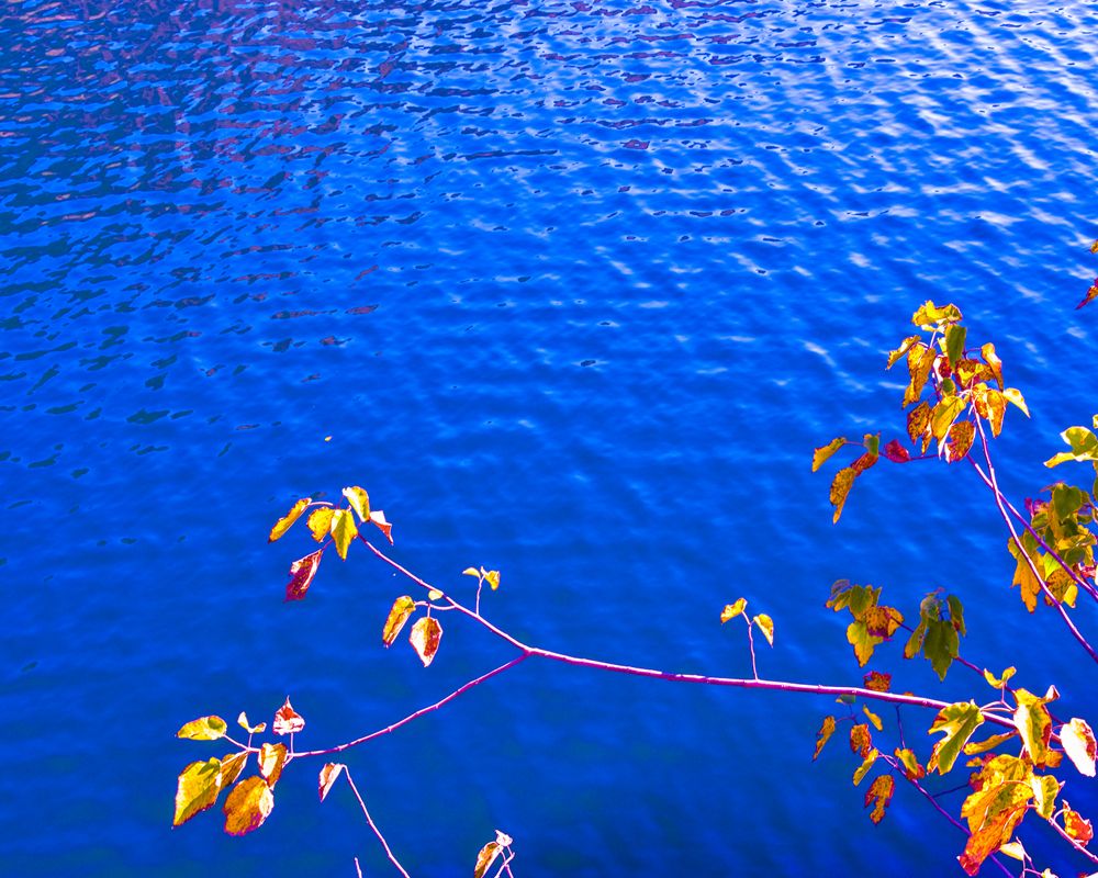 Panzhihua 2023 Top Things to Do - Panzhihua Travel Guides - Top ...