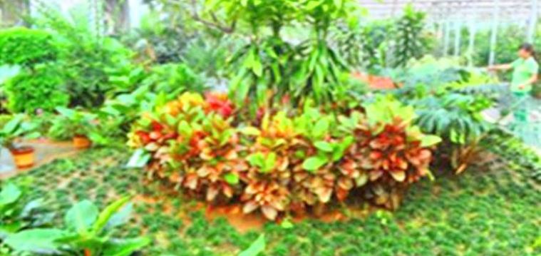 Yangling District independent travel guide (2025): top things to do ...