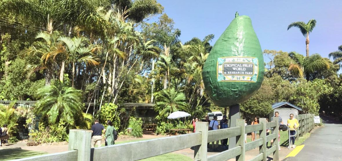 Things to Do in Duranbah in 2024 - Top Attractions, Local Food, Hotels ...