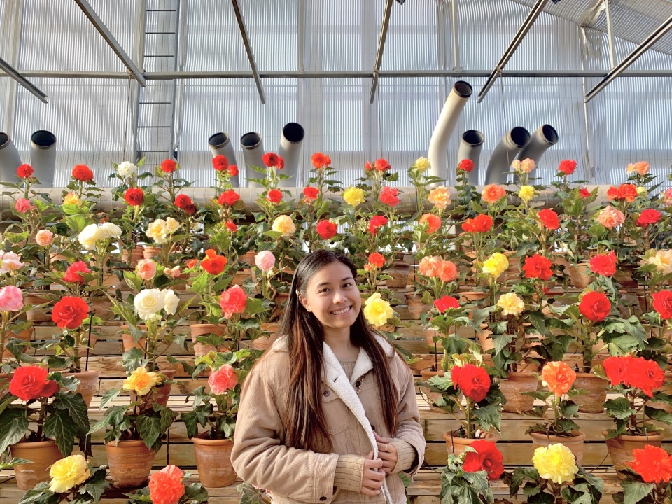 Things to Do in Kuwana in 2024 - Top Attractions, Local Food, Hotels ...