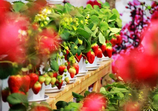 Take A Hot Spring Bath, Watch The Mausoleum, Climb The Great Wall, And ...