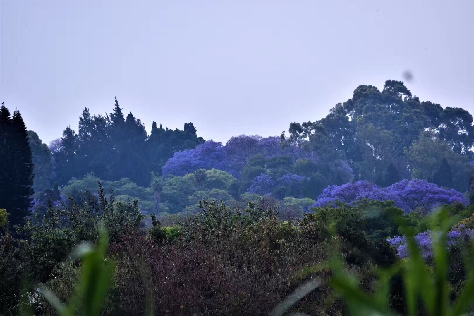 Harare Travel Guide 2023 - Things to Do, What To Eat & Tips | Trip.com