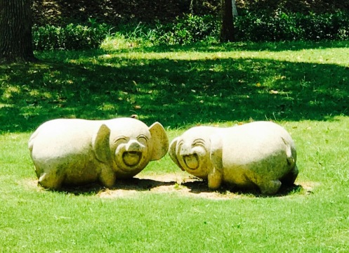 Pig Culture Exhibition Hall: ภาพถ่าย, แผนที่ & รีวิว [2023] | Trip.com