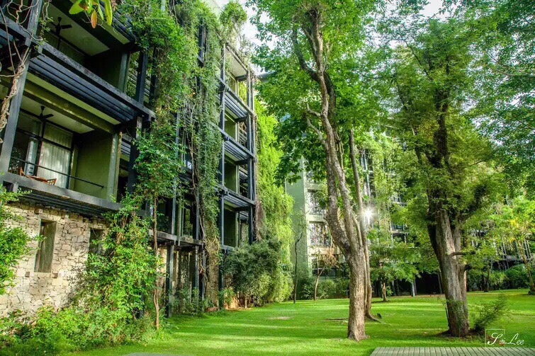 | Trip.com Dambulla Travelogues