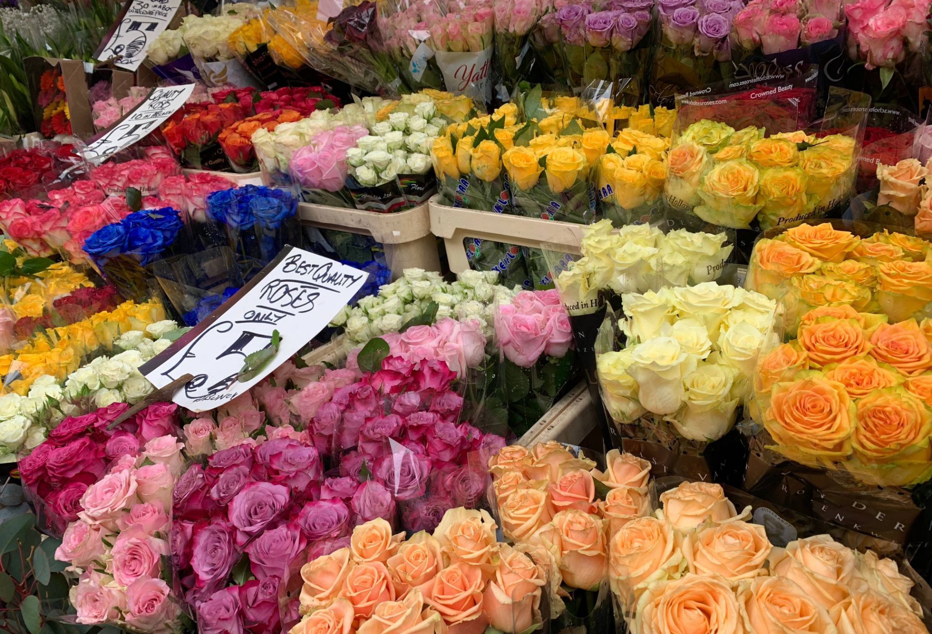 Liverpool Flower Market Opening Times | Best Flower Site