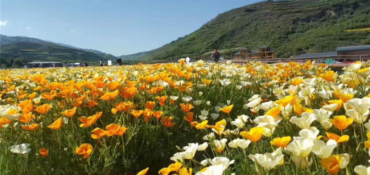 Things to do in Linxia County (2025): Top nearby activities,popular ...