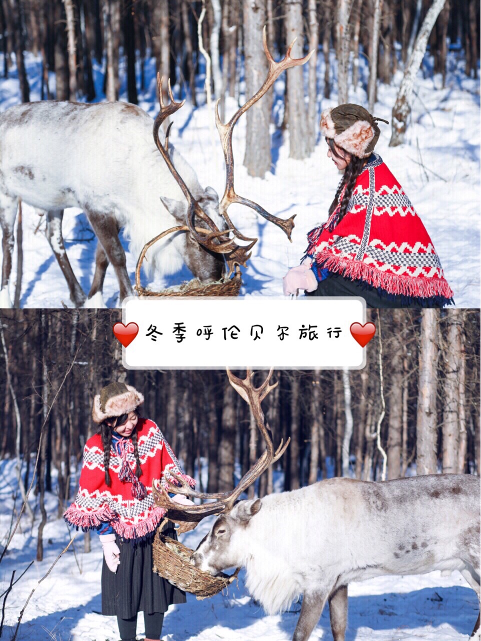 Yakeshi Travel Guide 2023 - Things to Do, What To Eat & Tips | Trip.com