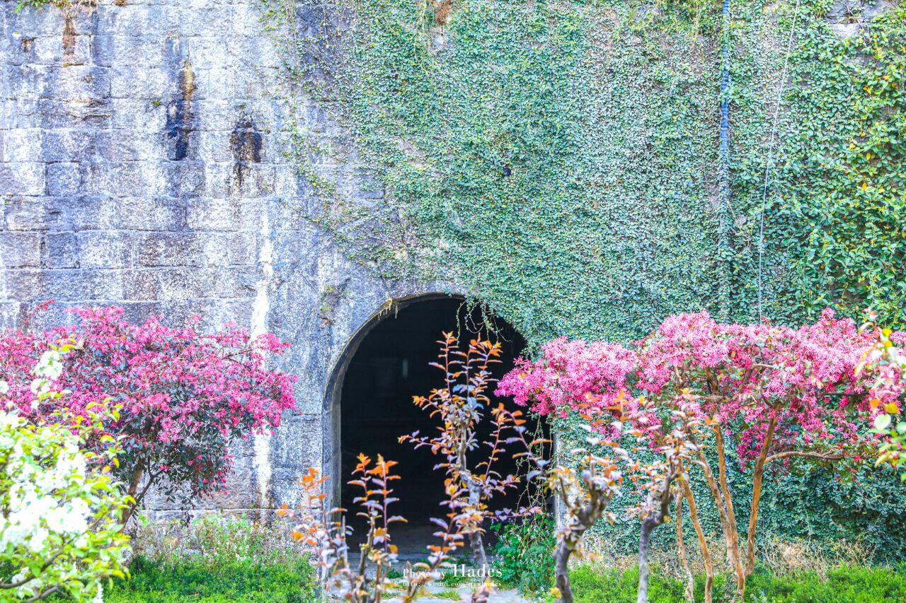 Linjiang 2023 Top Things to Do - Linjiang Travel Guides - Top ...