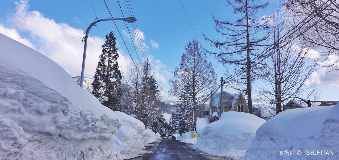 Otari Travel Guide 2025: Top Attractions, Things to Do & Deals | Trip ...