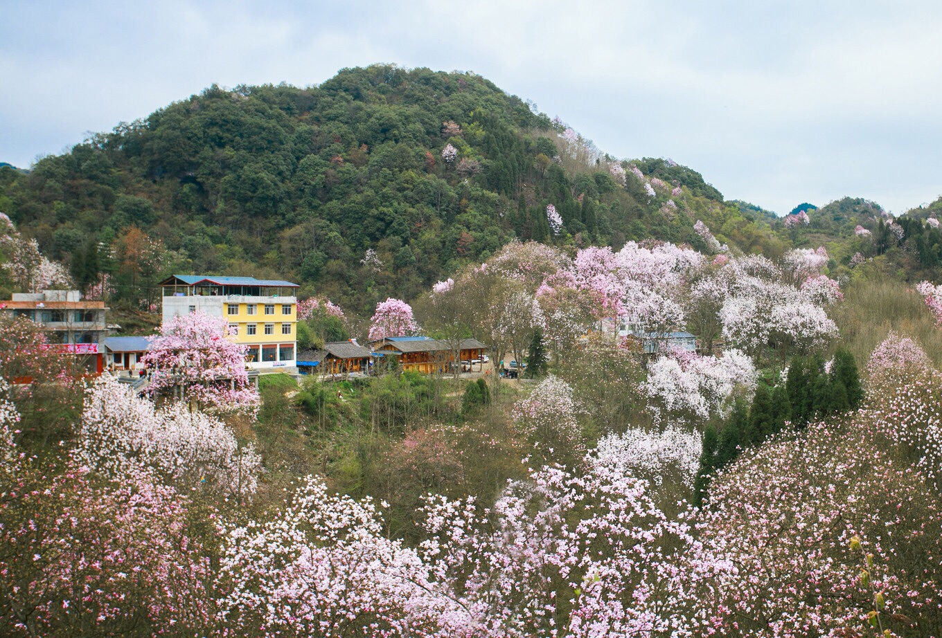 Beichuan 2023 Top Things to Do - Beichuan Travel Guides - Top ...