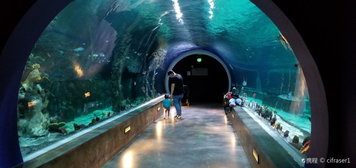 Draper Travel Guide 2026: Top Attractions, Things to Do & Deals | Trip ...