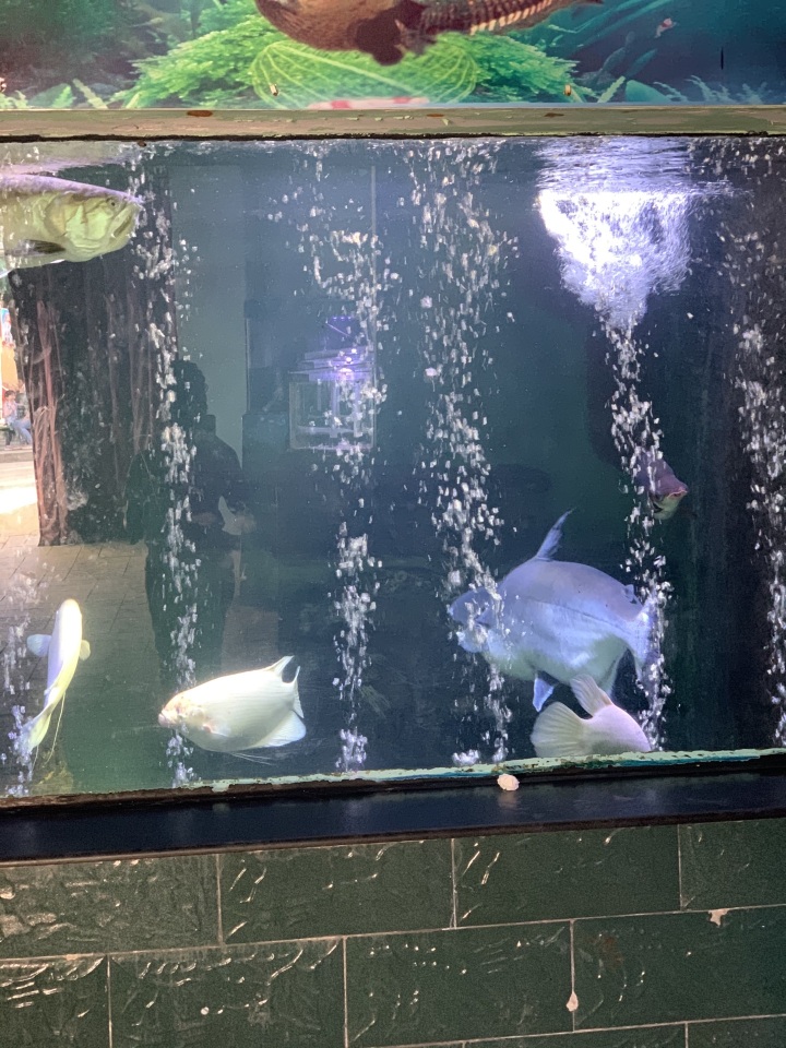 Shiyan 2023 Top Things to Do - Shiyan Travel Guides - Top Recommended ...