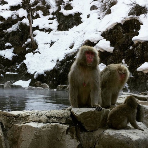 Yamanouchi Travel Guide 2024 - Things to Do, What To Eat & Tips | Trip.com