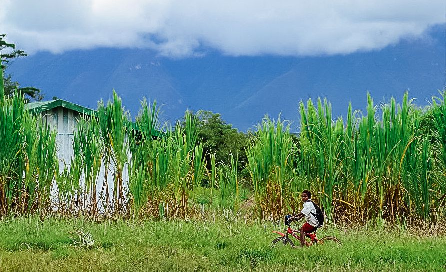 Jayawijaya Regency 2022 Top Things to Do - Jayawijaya Regency Travel ...