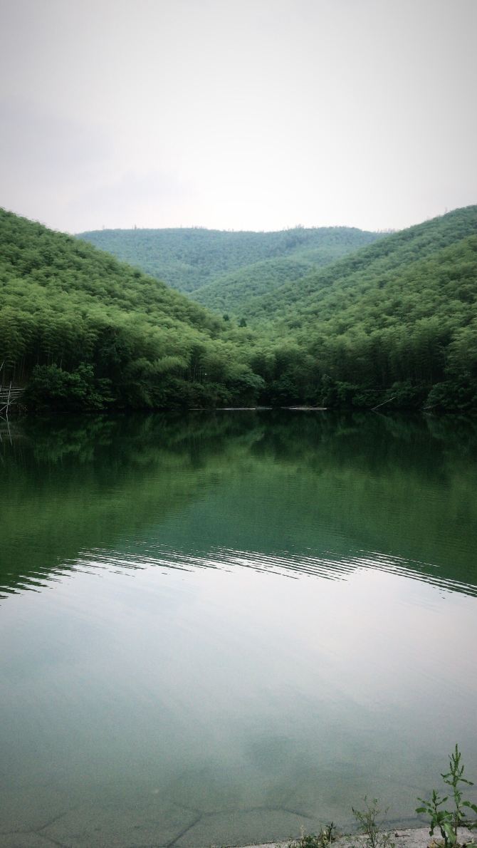 #moganshan is the perfect esca | Trip.com Mogan Mountain Travelogues