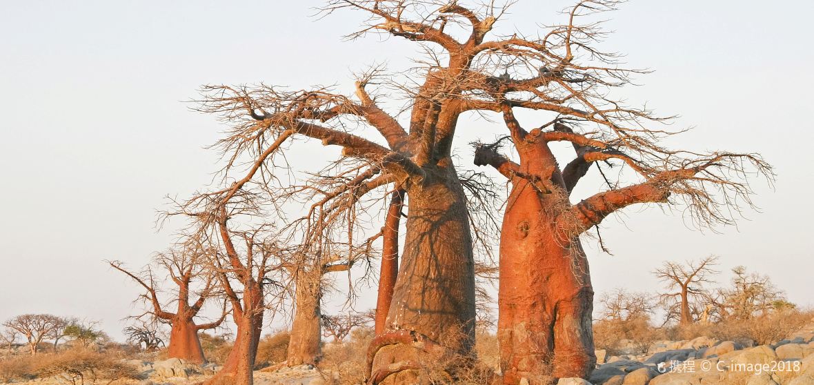 Things to Do in Letlhakane in 2025 - Top Attractions, Local Food ...