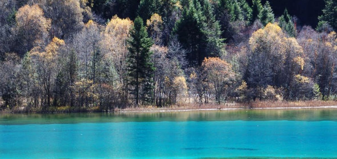 Things to Do in Aba Prefecture in 2025 - Top Attractions, Local Food ...